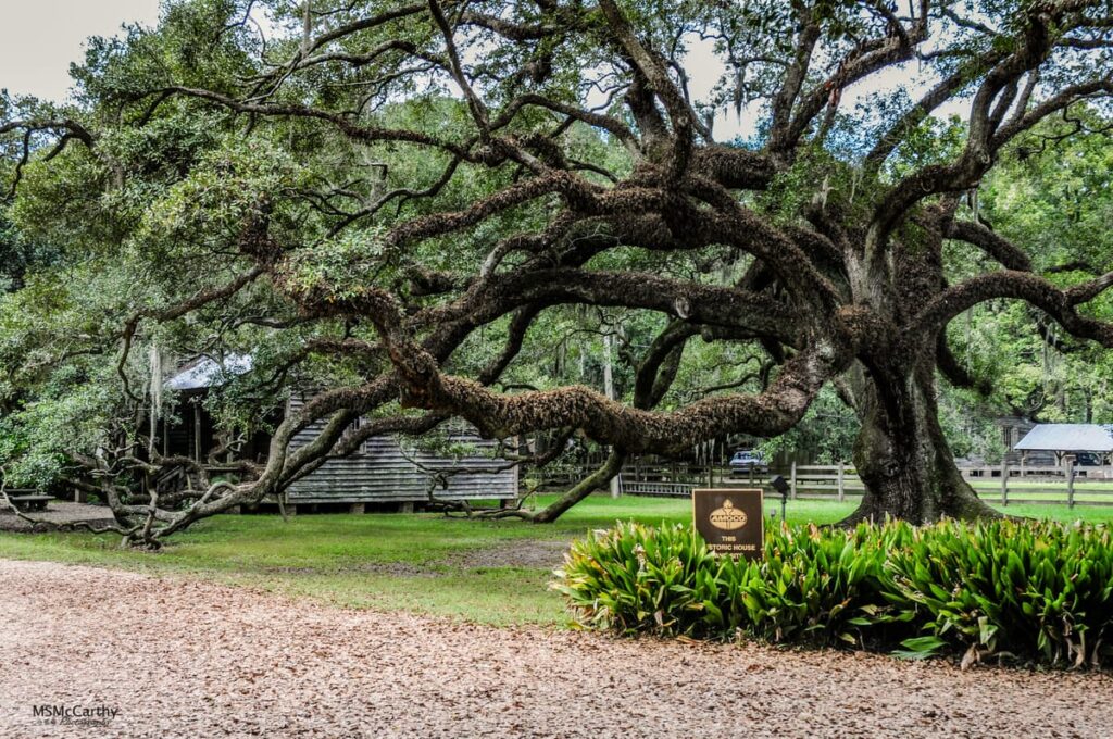 Uncover Destrehan Plantation's Haunted Past & Ghost Stories
